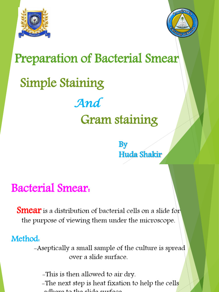 Preparation of Bacterial Smear: Simple Staining Gram Staining | PDF ...