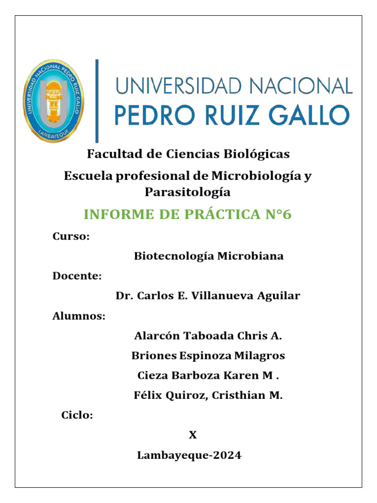 INFORME DE PRÁCTICA N°6 | PDF | Levadura | Hongo