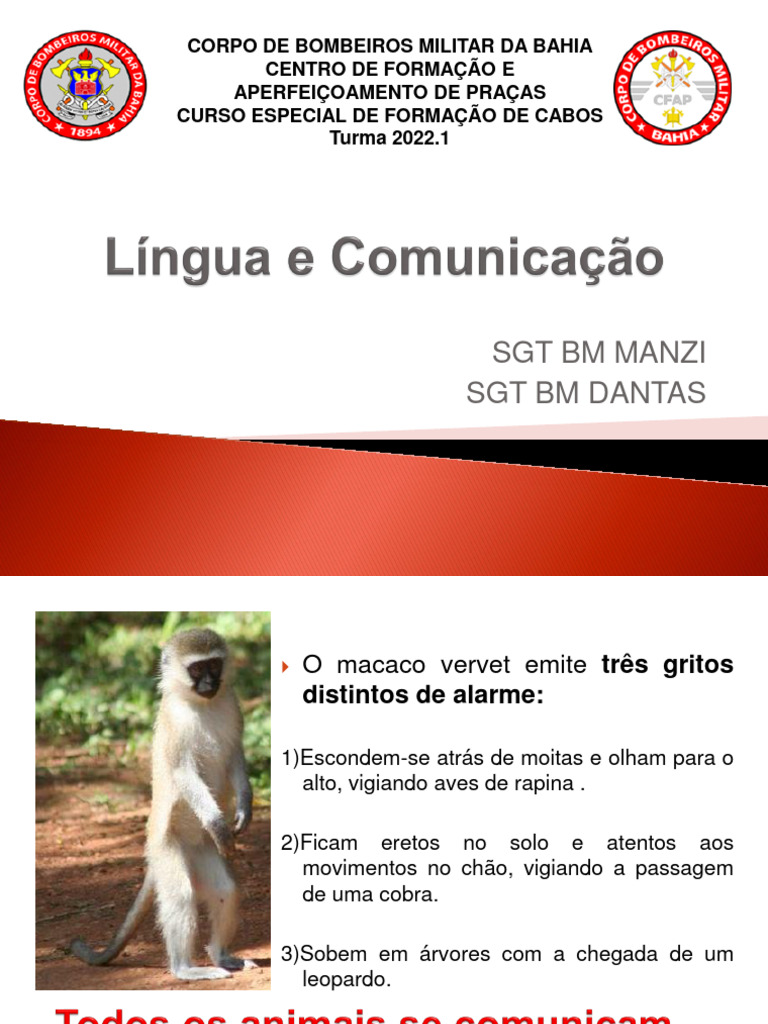 Comunicação Humana: Evolução e Tipos | PDF | Comunicação | Escrita