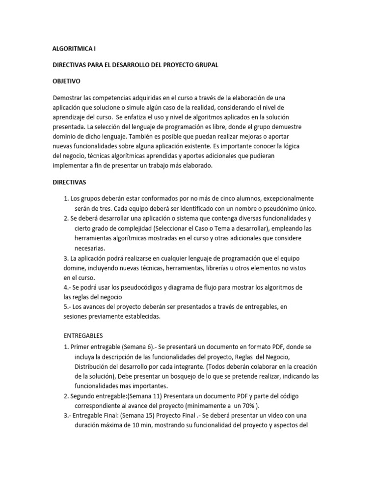 Directivas del Proyecto Grupal (2) | PDF | Algoritmos | Programación de computadoras