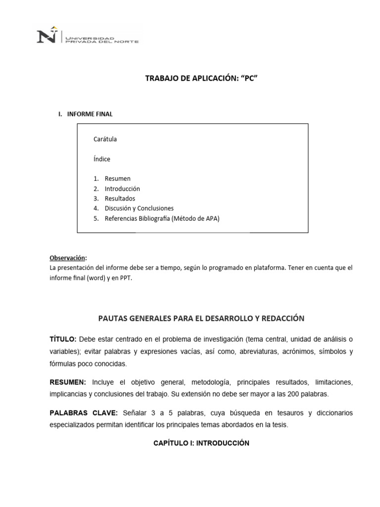 Esquema de Informe - PC | PDF
