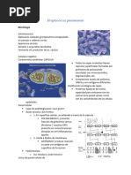 Neumocitos: Tipos y Funciones | PDF | Pulmón | Biología Celular