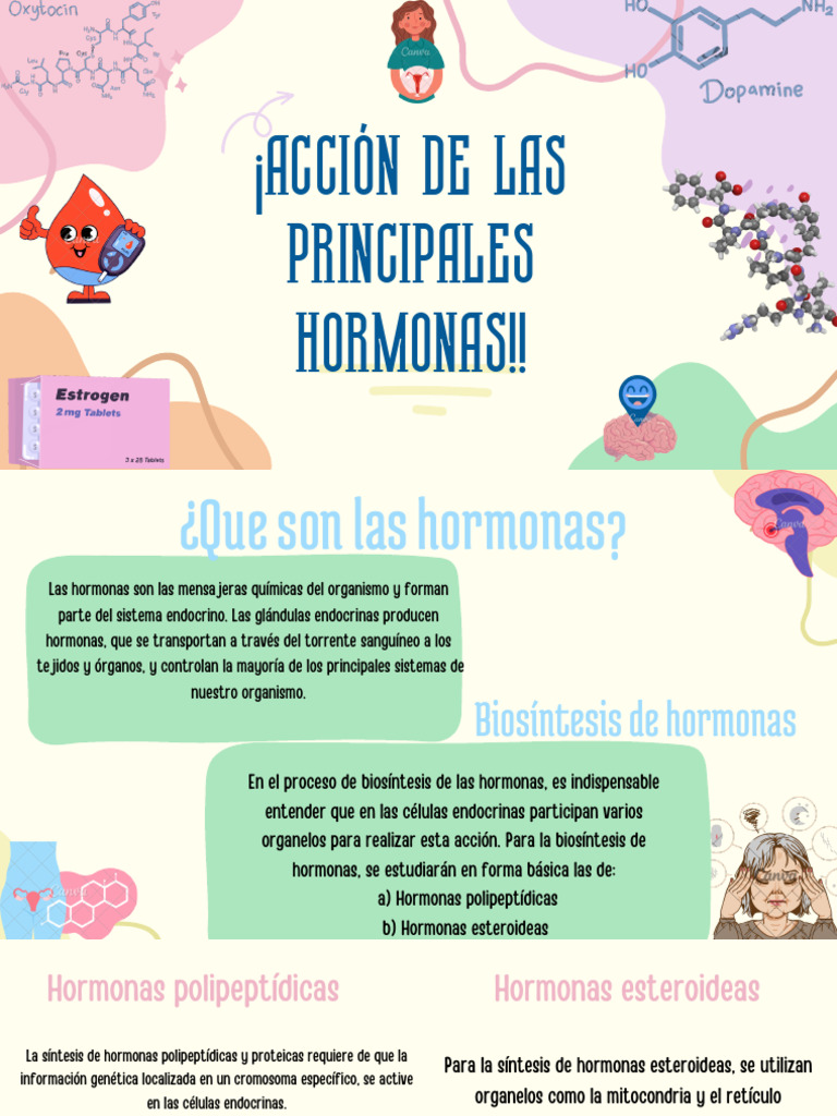 Principales Hormonas del Sistema Endocrino | PDF | Hormona | Sistema ...