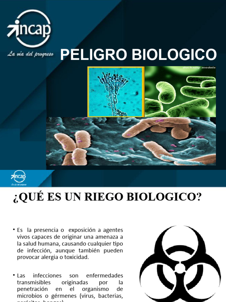 PELIGRO_BIOLOGICO_2 | PDF | Esterilización (Microbiología ...
