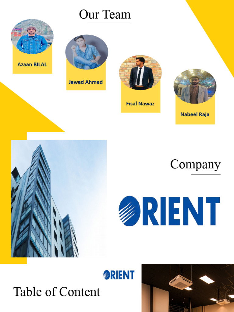 Orient Electronics | PDF | Business | Economies