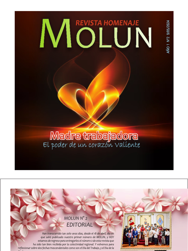 Molun 2 | PDF | Control de la natalidad | Educación sexual