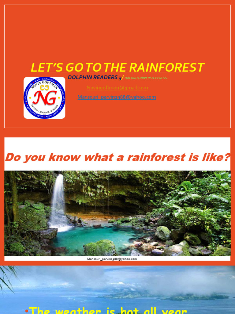 Lets Go To The Rainforest | PDF | Trees | Rainforest