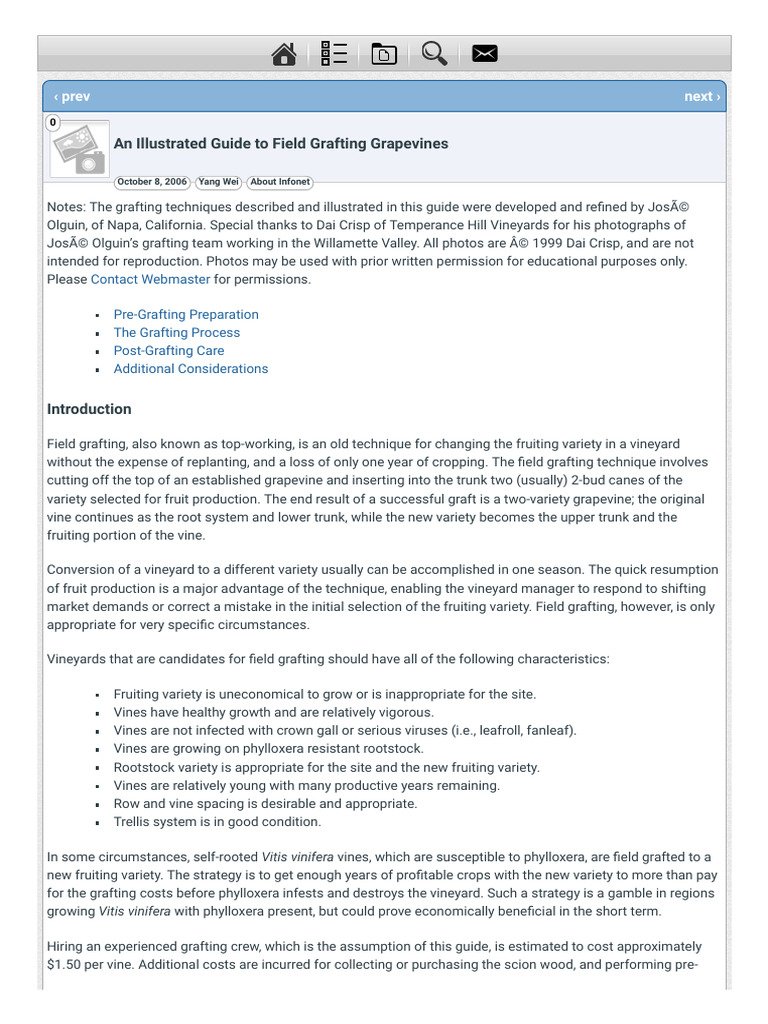 An Illustrated Guide to Field Grafting Grapevines | PDF | Grafting ...