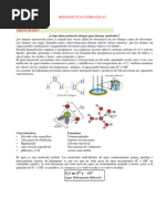 4.7.6. Nano Química (Propiedades Fisicoquímicas No Convencionales de ...