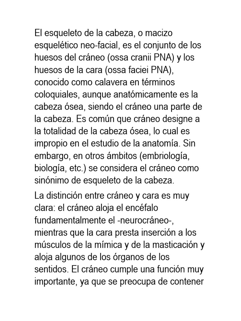 El Esqueleto de La Cabeza | PDF | Cráneo | Anatomía