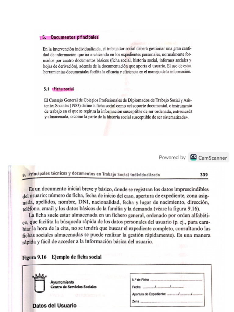 Fichas Sociales | PDF