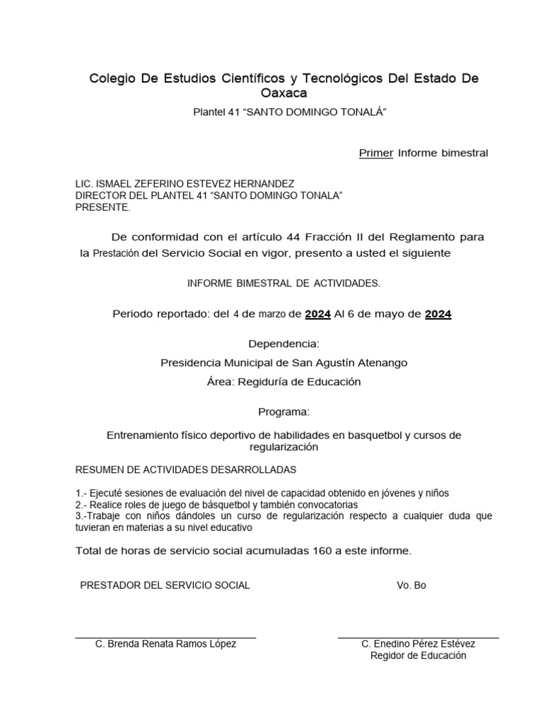 Informe Bimestral Ejemplo | PDF