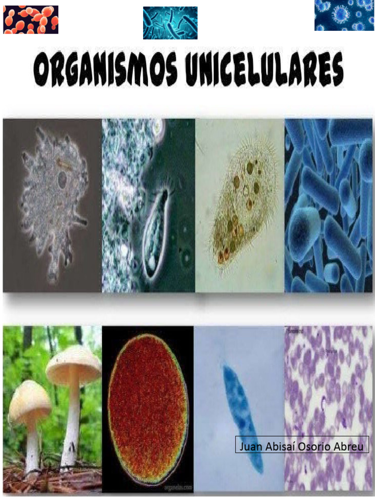 T5 Act.1 JAOA | PDF | Virus | Biología Celular)