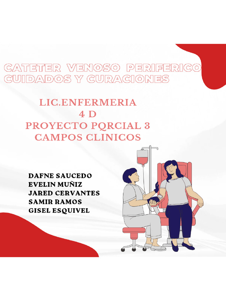 Proyevto Campos Clinicos | PDF