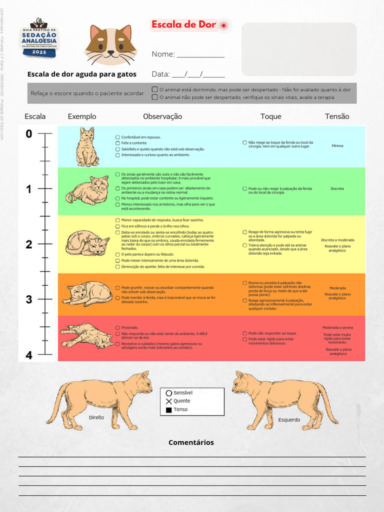 Escala de Dor para Gatos Guia Pratico de Sedacao e Analgesia Na Rotina ...