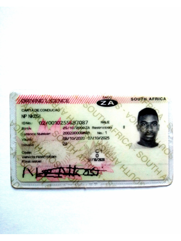 drivers license pdf | PDF