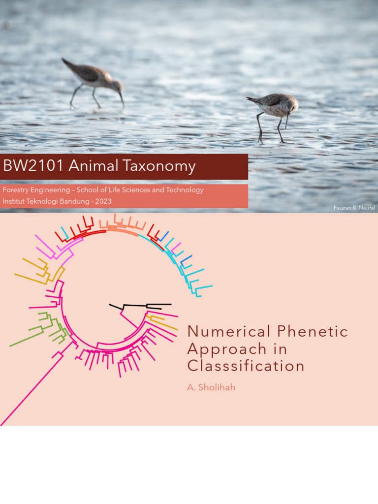 07 Numerical Phenetic Approach S | PDF | Taxonomy (Biology) | Phylogenetics