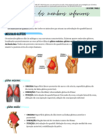Musculos Quadril Tabela | PDF | Quadril | Anatomia dos membros inferiores