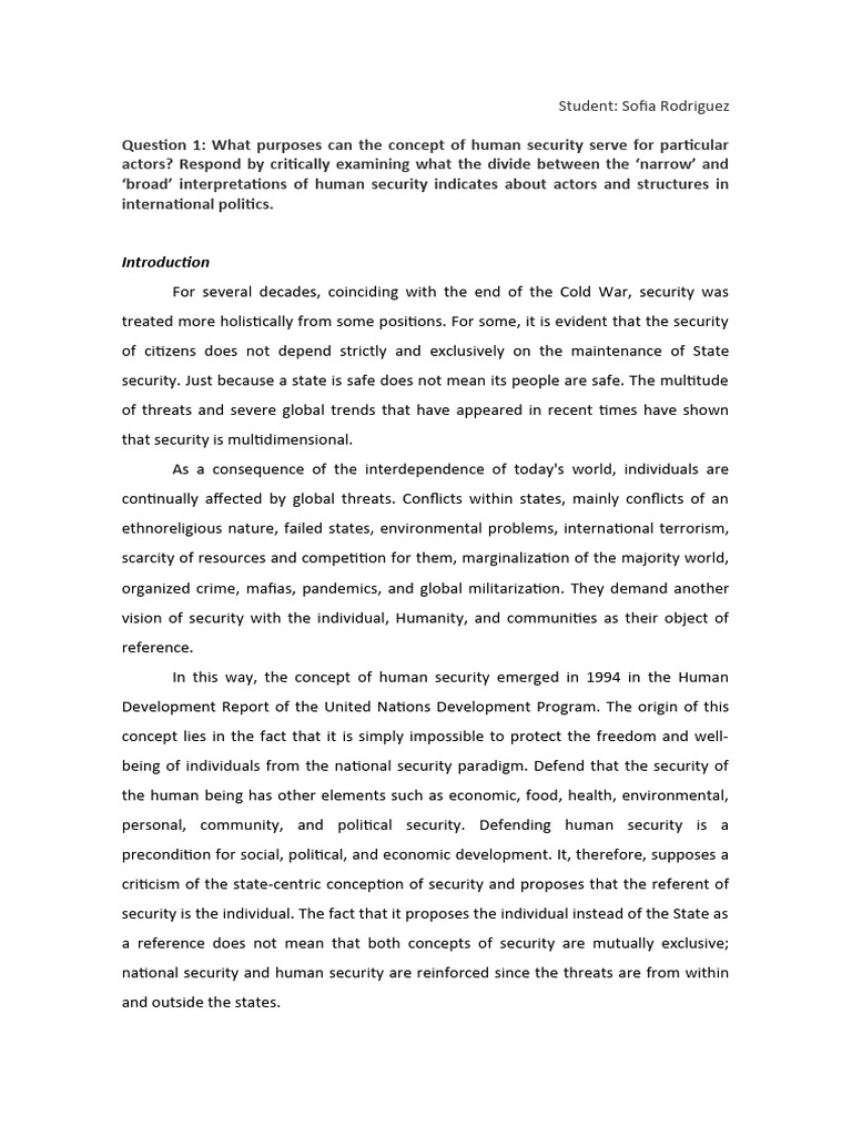 Human Security Actors | PDF | Human Security | Securities