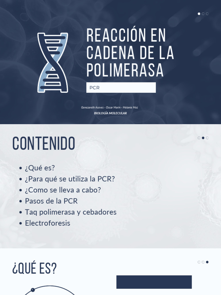 Reacción en Cadena de La Polimerasa | PDF | Reacción en cadena de la polimerasa | Primer ...