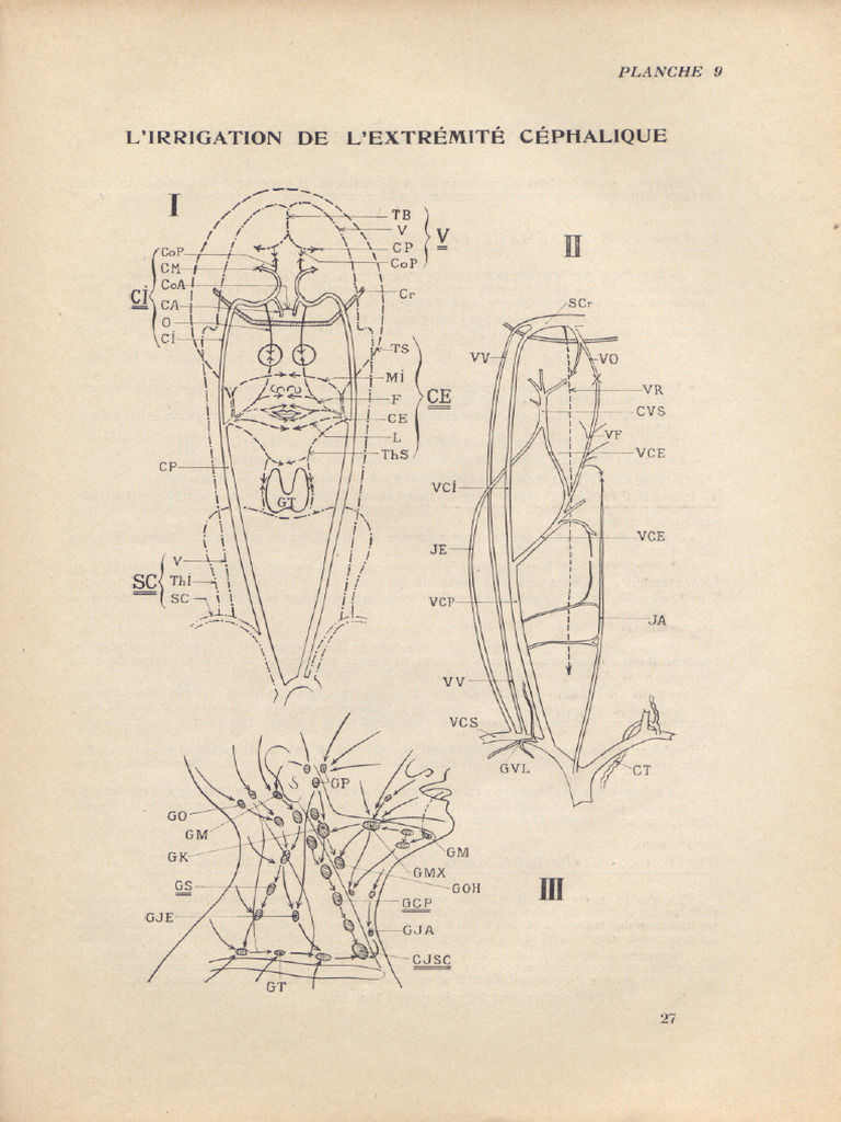 24 Planche 9 Schem | PDF