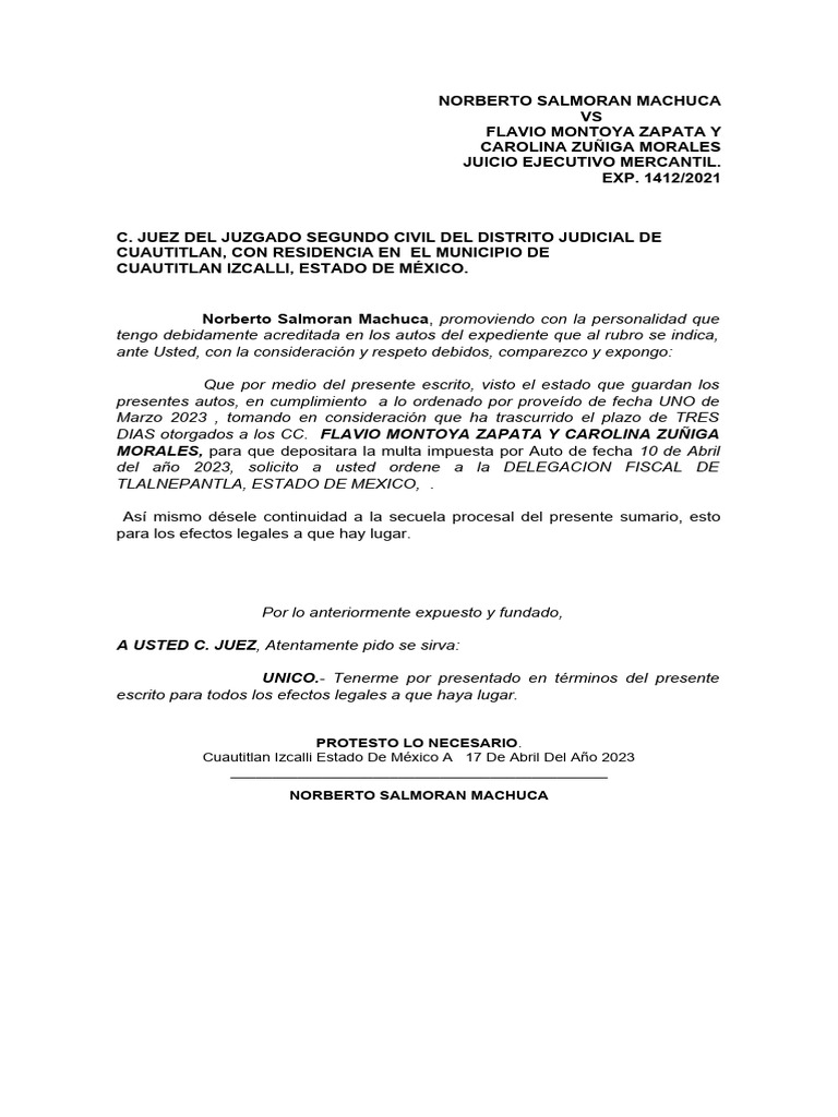 Juicio Ejecutivo Mercantil: Salmoran vs Montoya | PDF