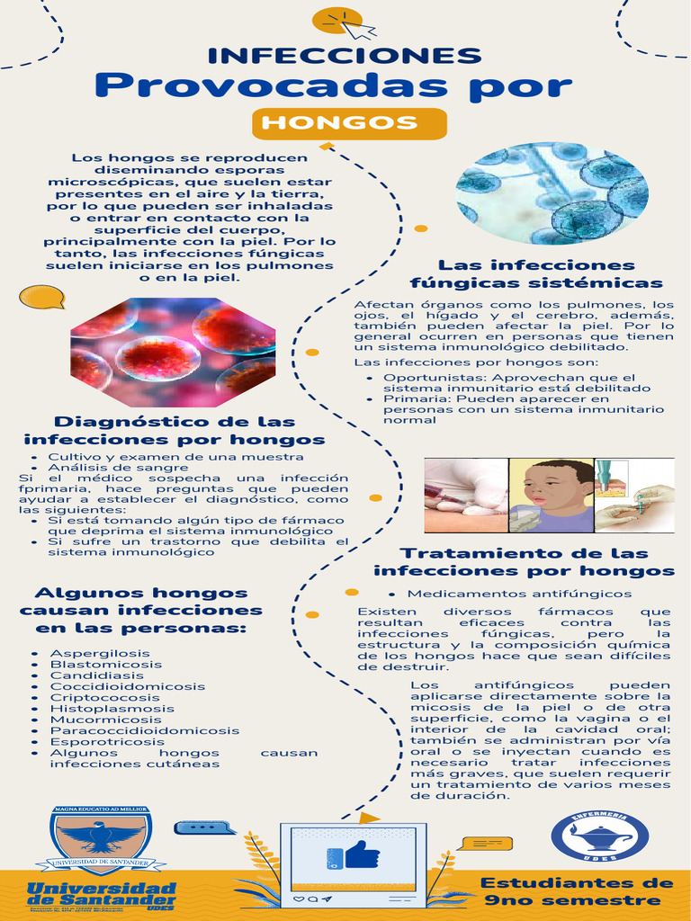 Infecciones Por Hongos | PDF | Hongo | Sistema inmune