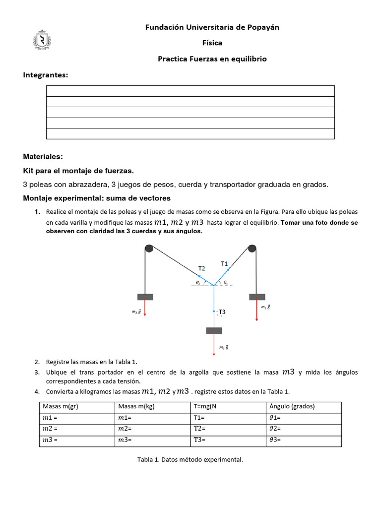 Practica Fuerzas en Equilibrio | PDF | Mecanica clasica | Mecánica