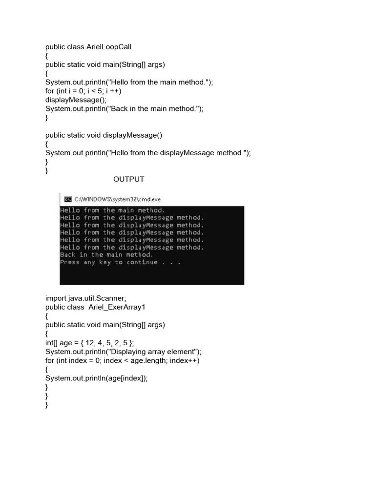 Ariel | PDF | Computer Programming | Software Engineering