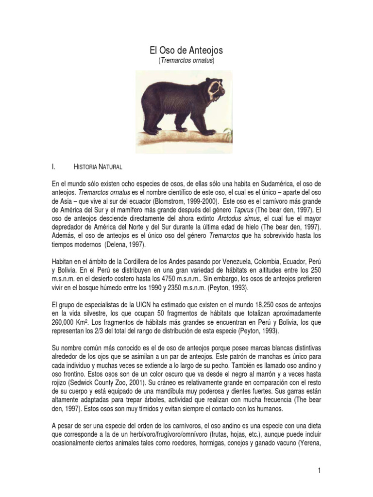 Ficha Oso Anteojos (2) | PDF | Osos | Organismos