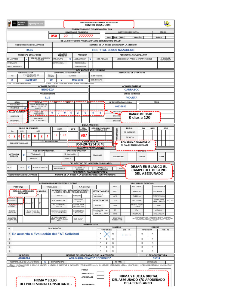 Modelo de Fua Teleinterconsulta 907 Centro Consultor | PDF | Documento de identidad | Medicina