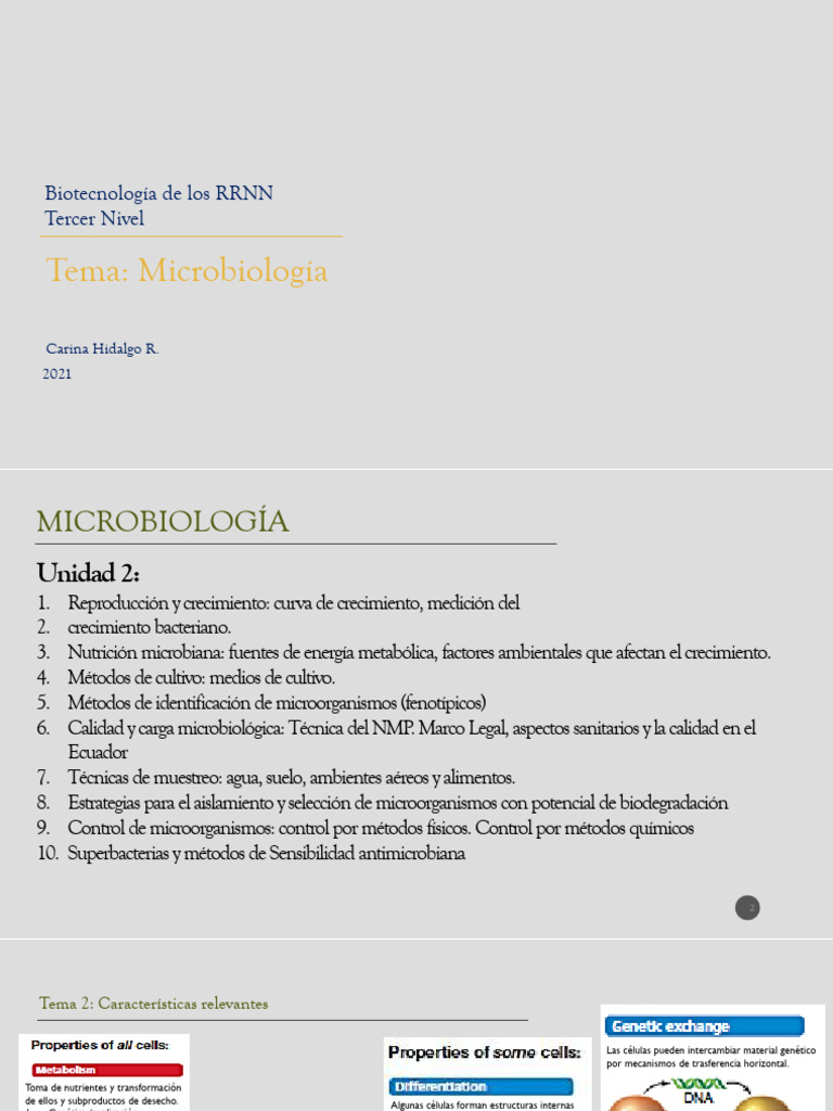 Ejemplos de microorganismos buenos y malos | PDF | Las bacterias ...