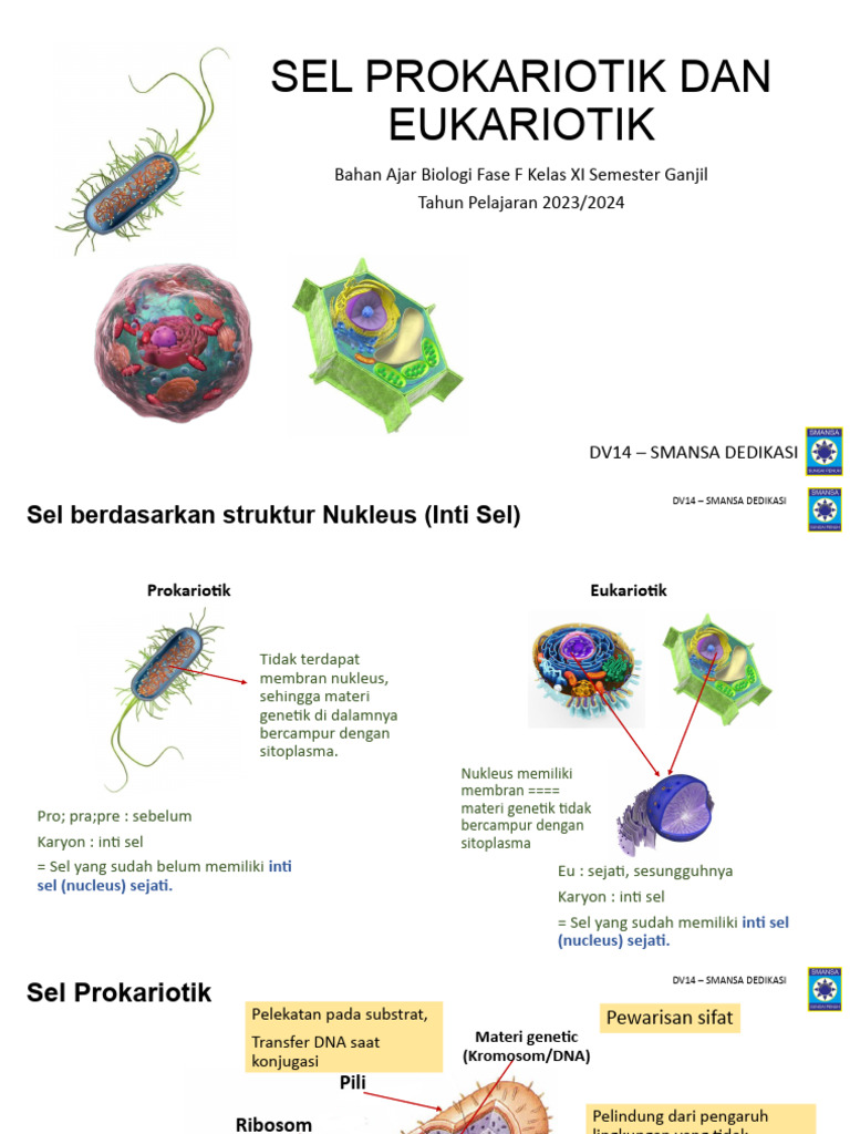 Sel Prokariotik Dan Eukariotik Baru Pdf