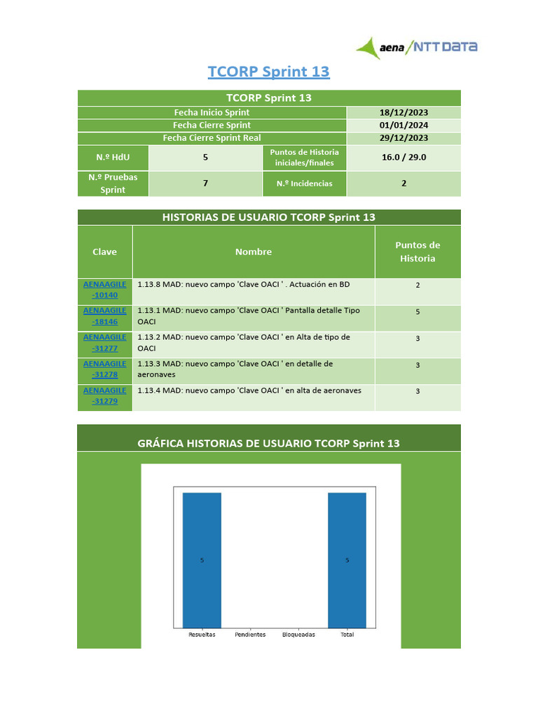 Informe TCORP Sprint 13: Incidencias y Pruebas | PDF