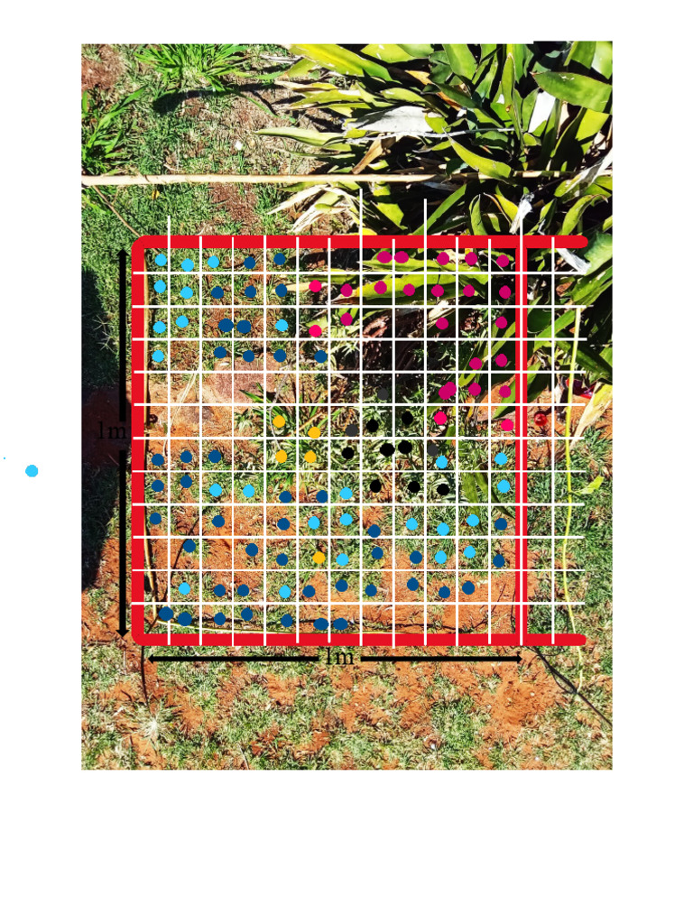 QUAD DRAWING (For Counting) | PDF