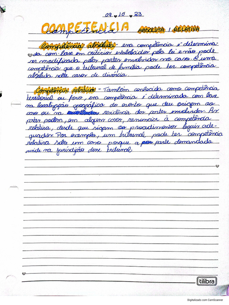 Competência Absoluta e Relativa | PDF