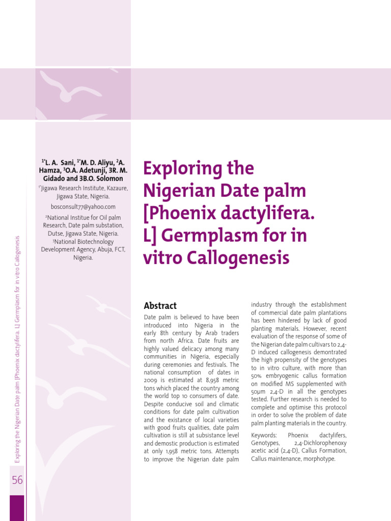 Exploring the Nigerian Date Palm Phoenix | PDF | Nigeria | Biology