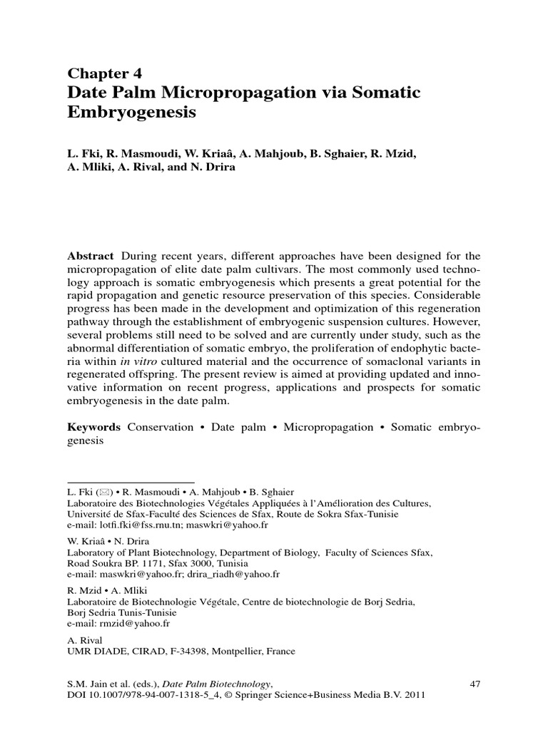 Date Palm Micropropagation Via Somatic E | PDF | Biological ...