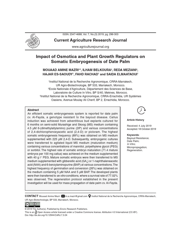 Somatic Embryogenesis in Date Palm Cultivation | PDF | Embryo | Botany