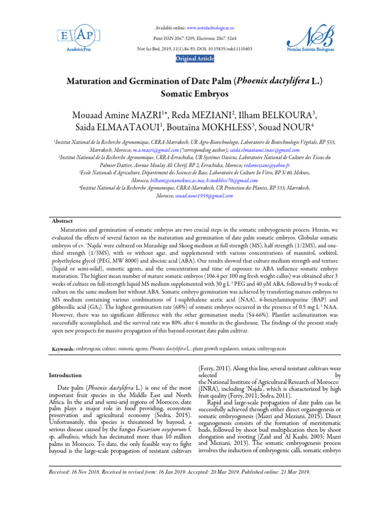 Maturation and Germination of Date Palm | Download Free PDF | Plant ...
