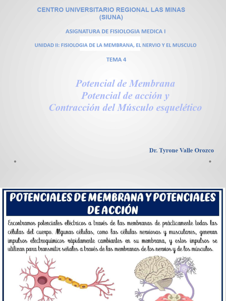 Clase 4 Potencial de Membrana y Potenciales de Accion | PDF | Potencial ...