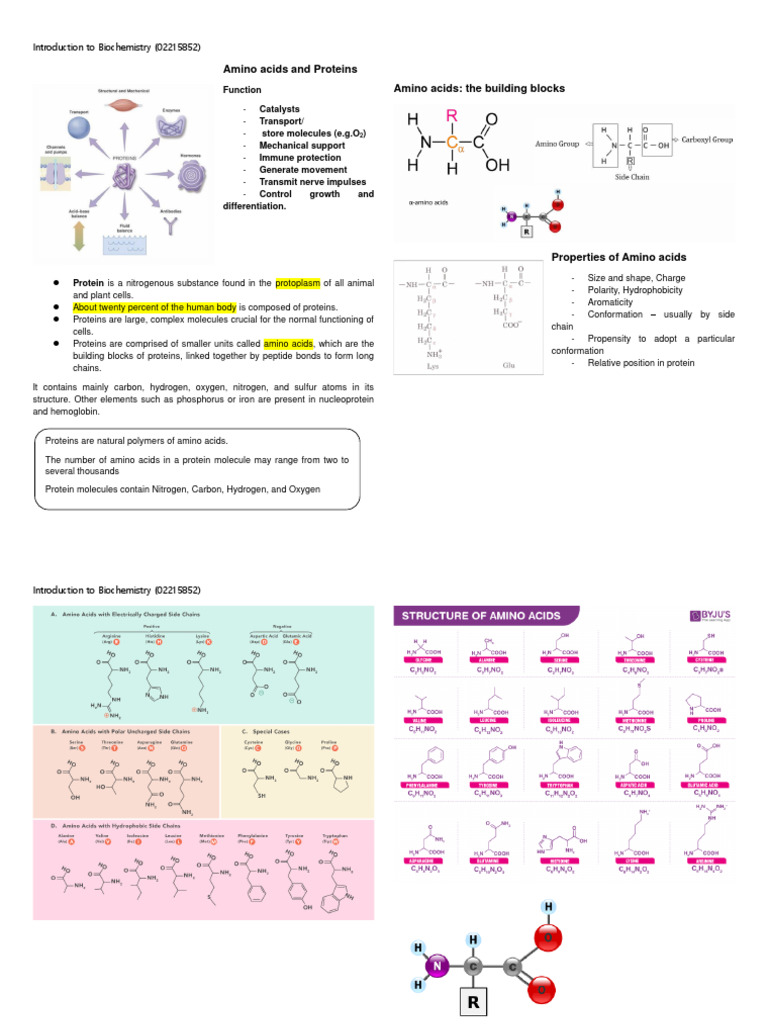Introduction To Biochemistry (Acid and Protein) | PDF | Denaturation (Biochemistry) | Beta Sheet
