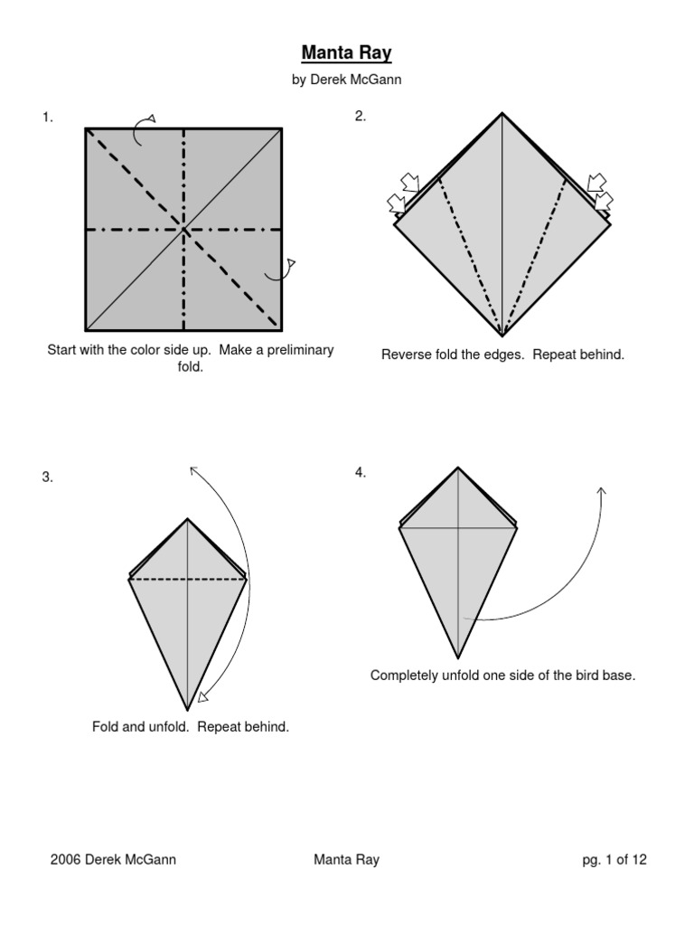 Derek McGann- Manta Ray | PDF | Flap (Aeronautics)