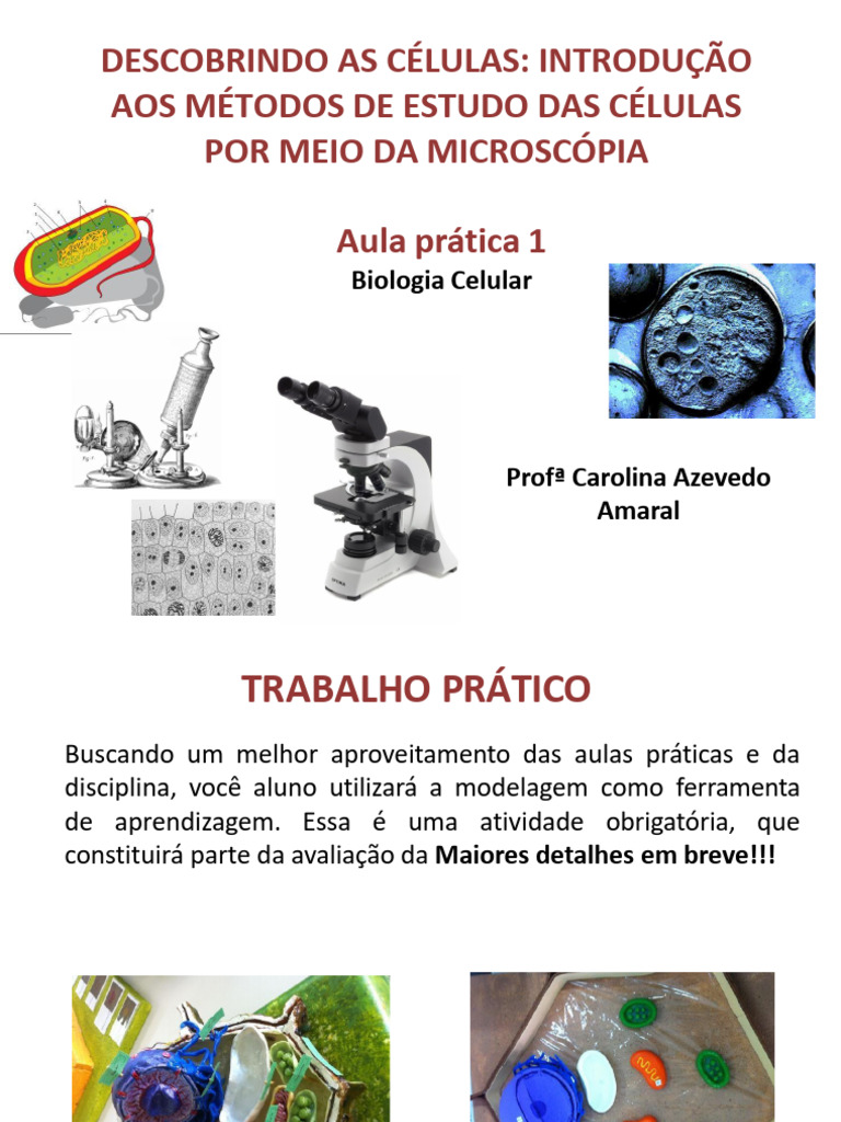 Introdução à Microscopia Celular | PDF | Ótica | Resolução angular