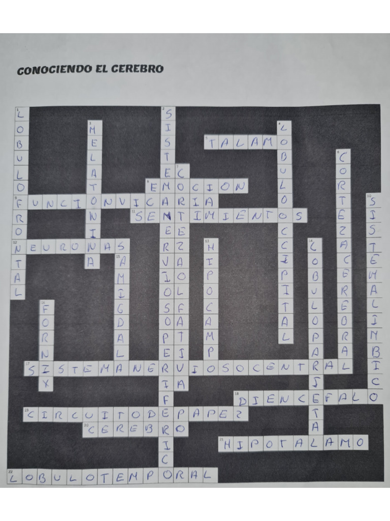 Cruci Resuelto 1 | PDF