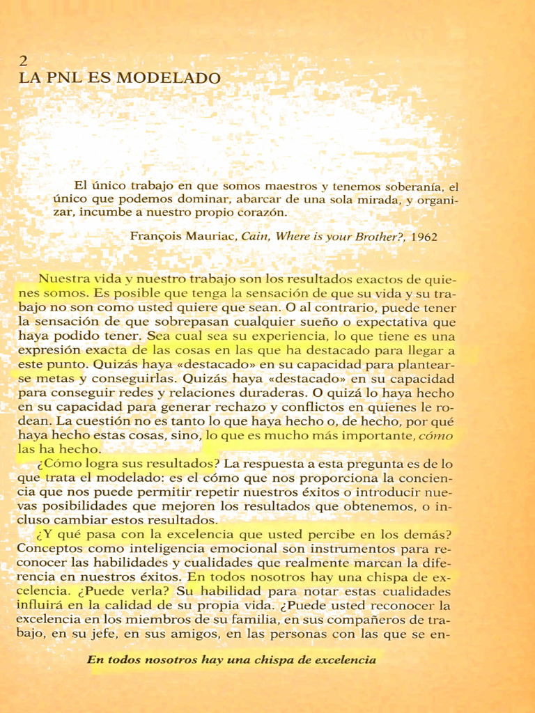 La PNL Es Modelado | PDF