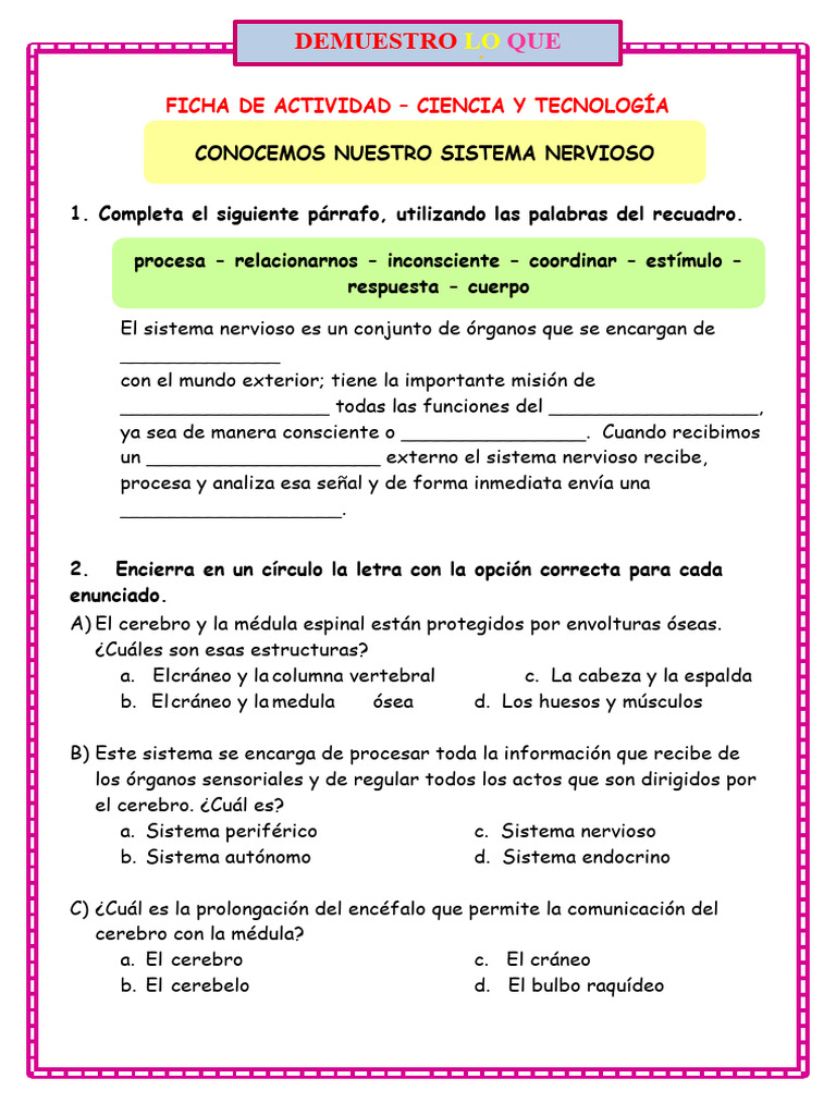 Ficha Cyt - Conocemos Nuestro Sistema Nervioso | PDF | Sistema nervioso | Nervio