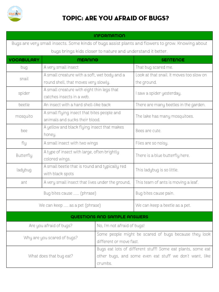 Are You Afraid of Bugs | PDF | Insects | Fly