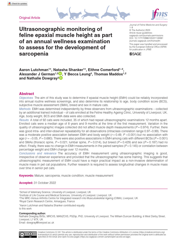 Ultrasonographic Monitoring of Feline Epaxial Muscle Height As Part of ...