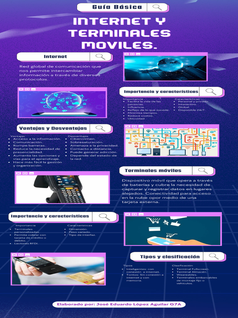 Infografía Internet y Terminales Móviles | PDF